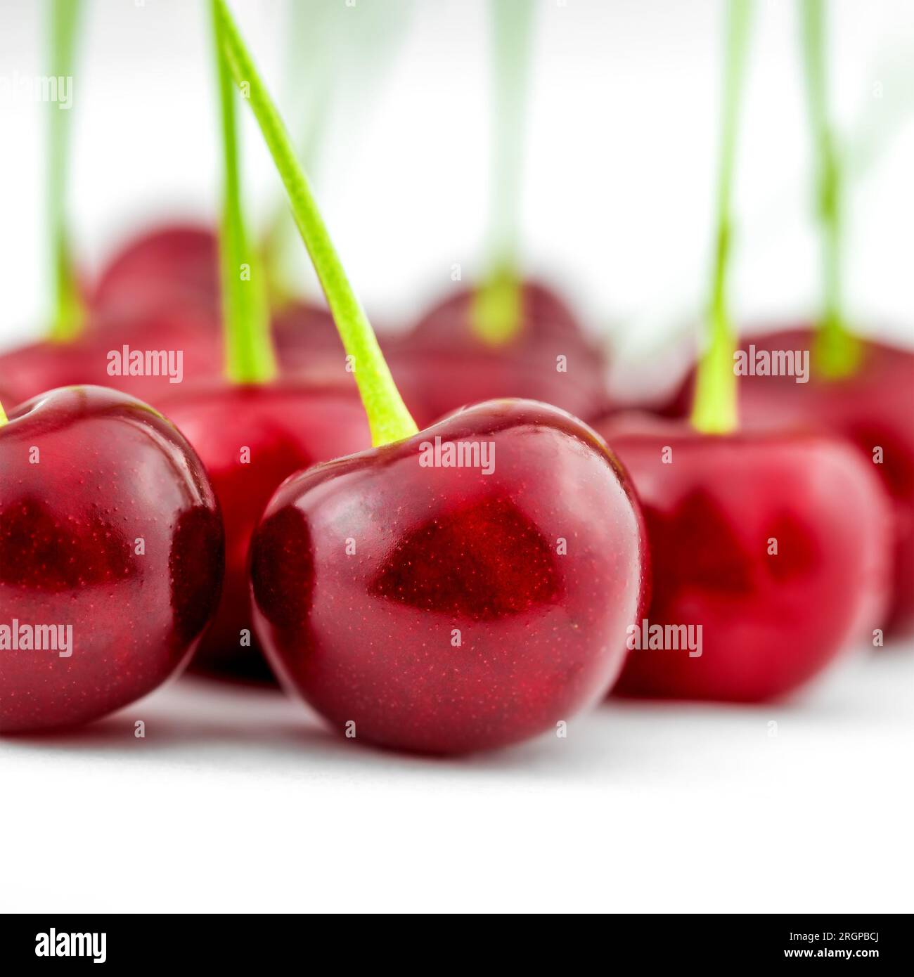 Fresh harvest of red cherries. Cherry with stem Stock Photo - Alamy