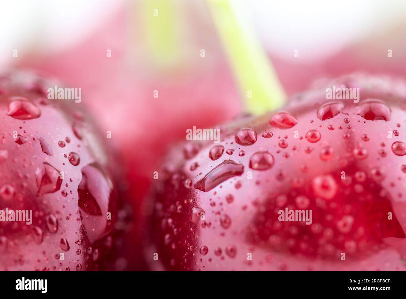Cherry background. Red ripe fresh cherries in drops of water close up ...