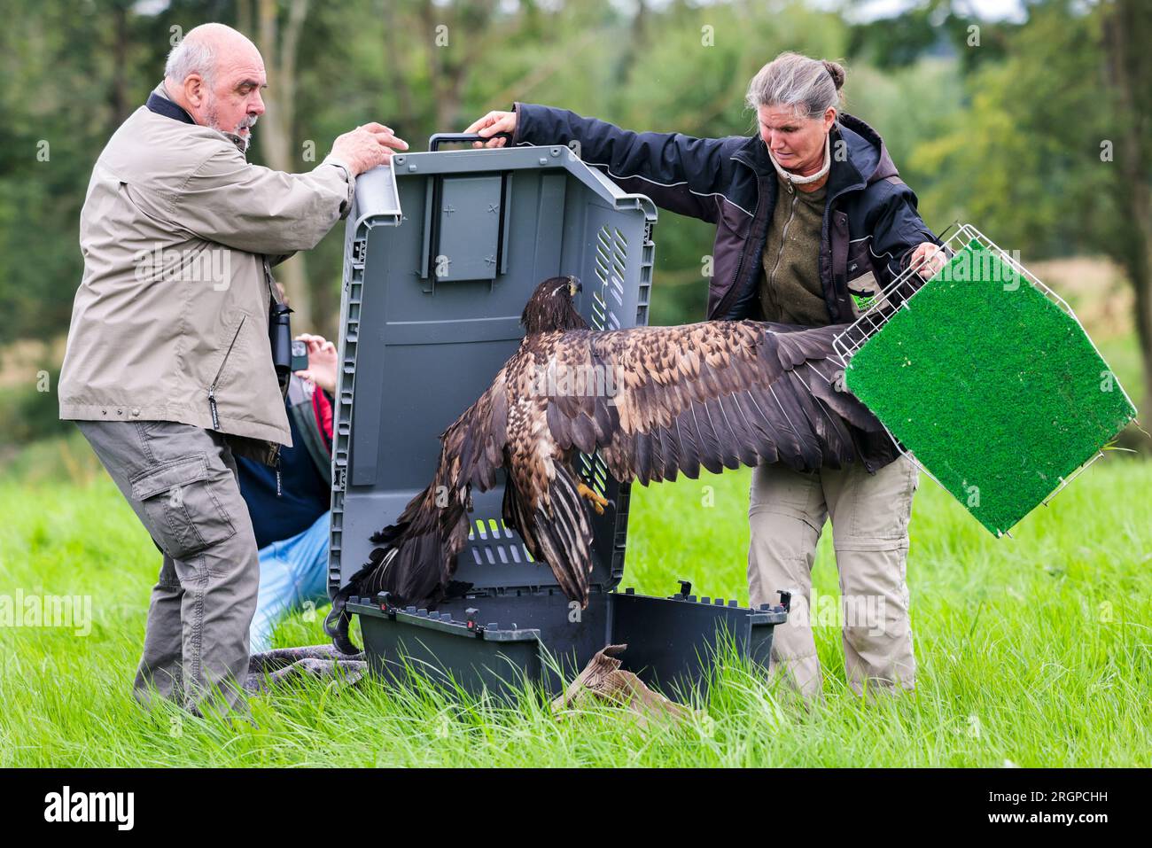 Lebrade, Germany. 11th Aug, 2023. Wildlife veterinarian Elvira von ...