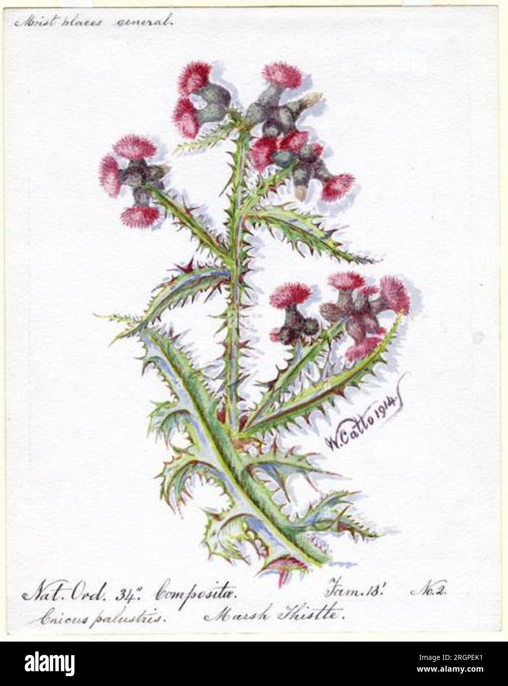 William catto hi-res stock photography and images - Alamy