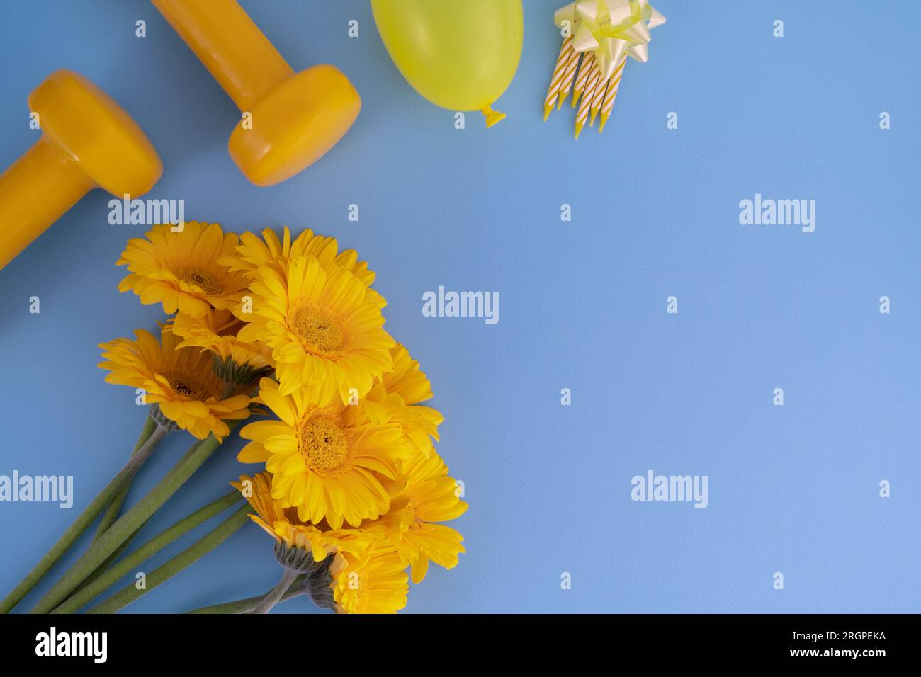 Yellow gym dumbbells, Gerbera Transvaal daisy flowers, birthday ...