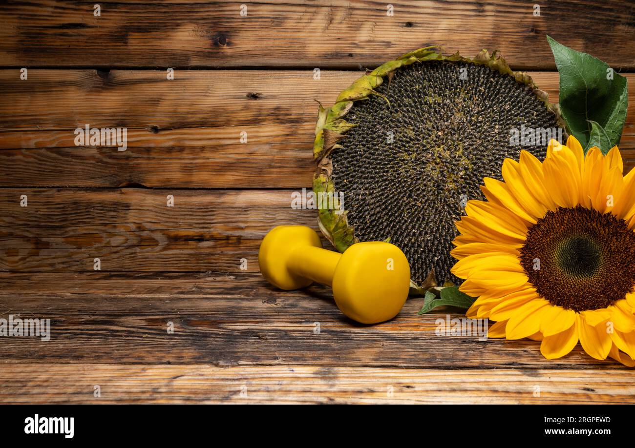 Gym dumbbell, yellow sunflowers, edible seeds and decorative flower ...
