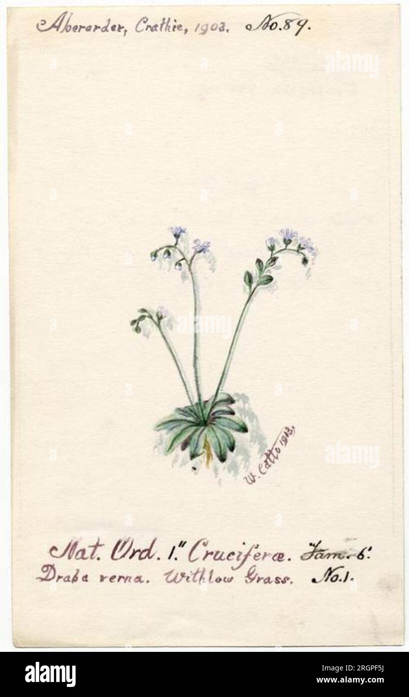 William catto abdag016246 hi-res stock photography and images - Alamy