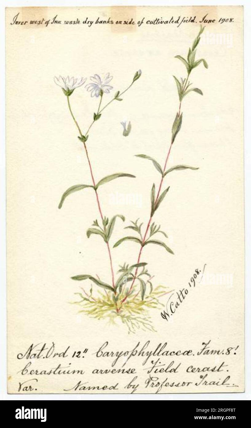 1 june 1908 hi-res stock photography and images - Alamy