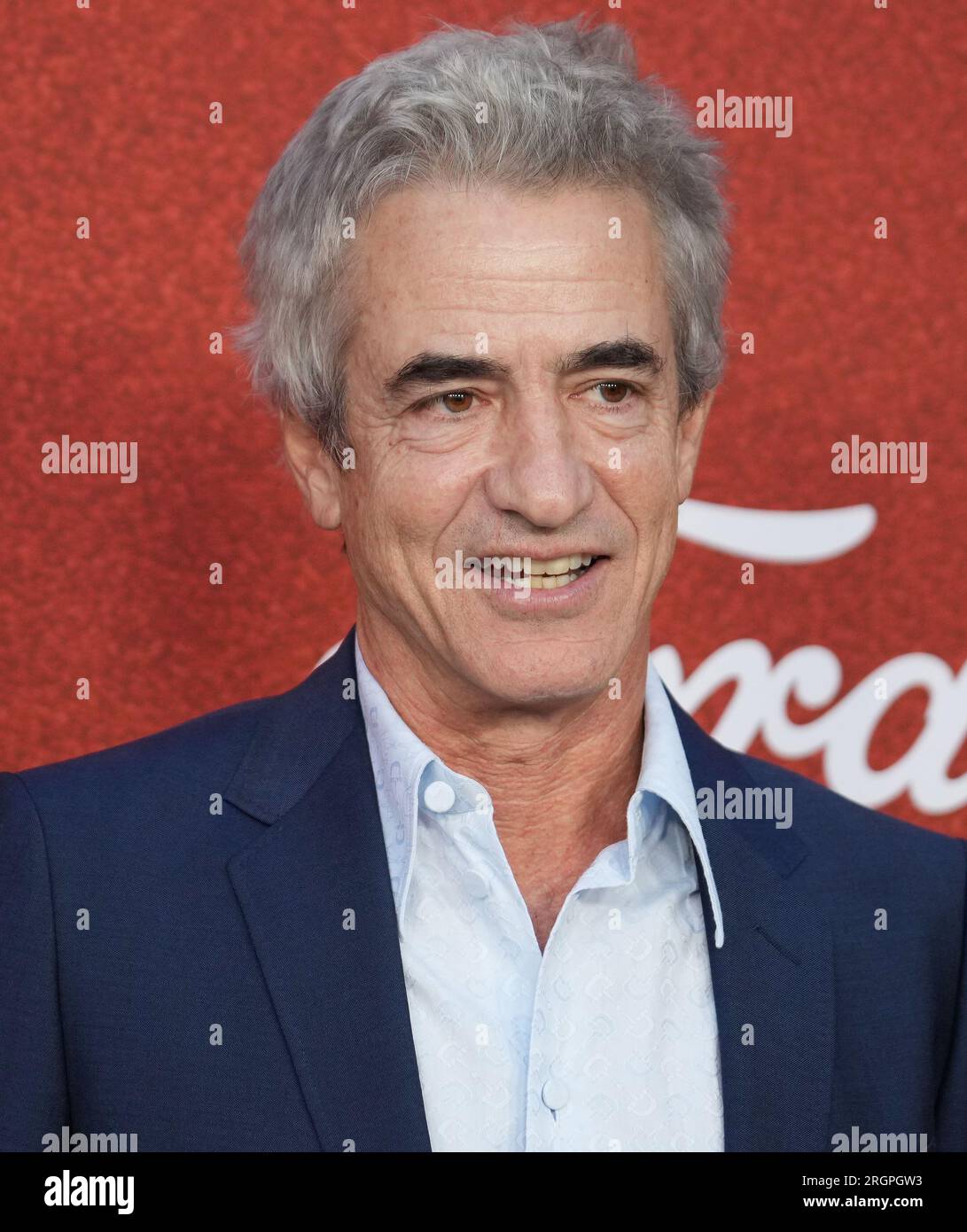 Dermot Mulroney arrives at the Variety Power Of Young Hollywood held at ...