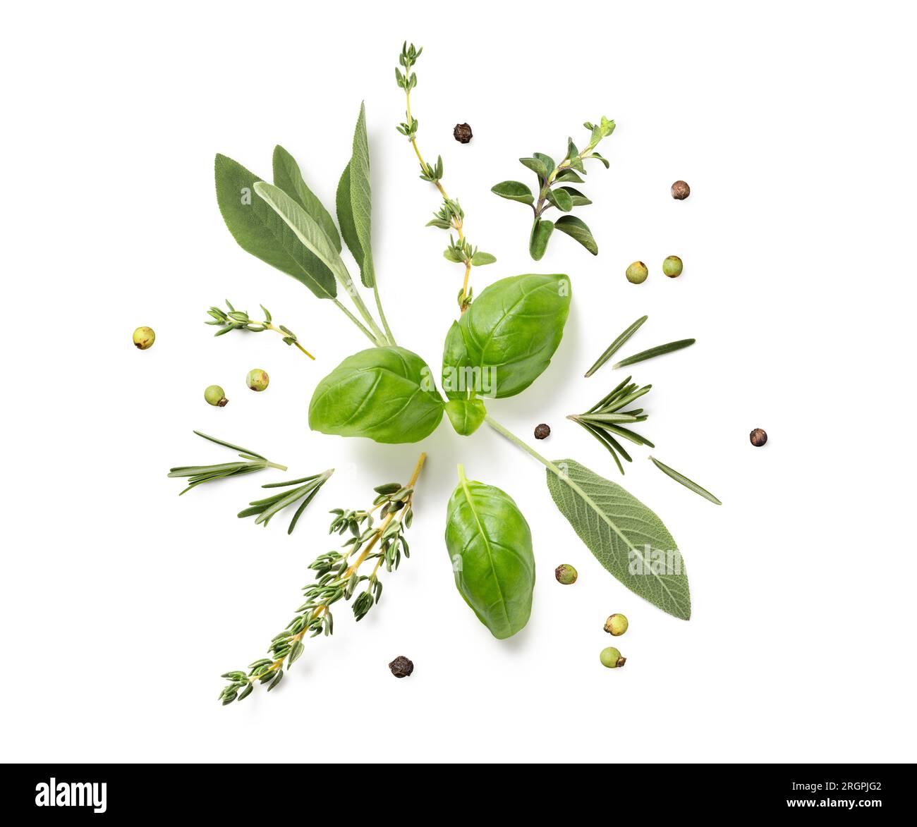 Various gardening design Cut Out Stock Images & Pictures - Alamy