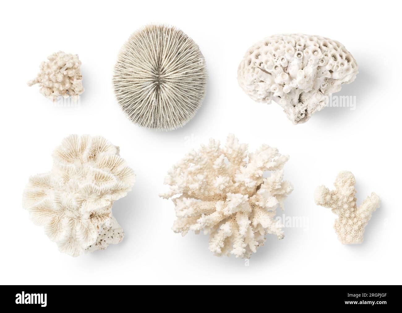Underwater view beautiful tropical sea Cut Out Stock Images & Pictures ...