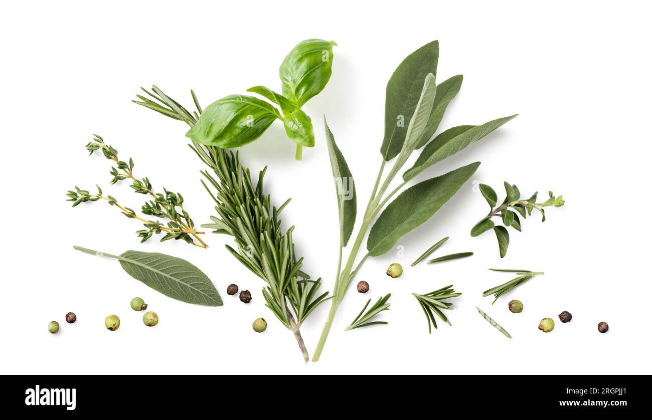 Fresh organic Mediterranean herbs and spices elements isolated over a ...