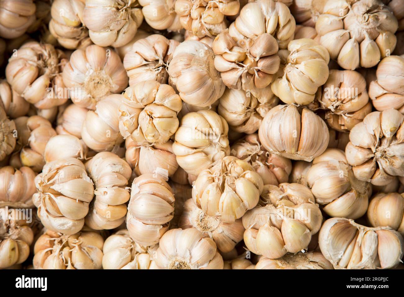 Pile of garlic cloves at a street food stall in the city of Bangkok in ...