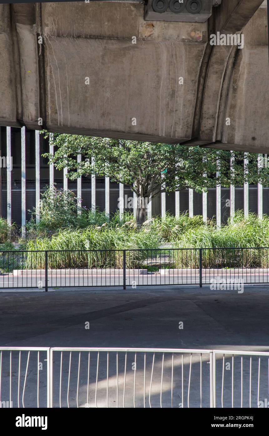 Detail of tress and Hammersmith Flyover Hammersmith West London Stock ...