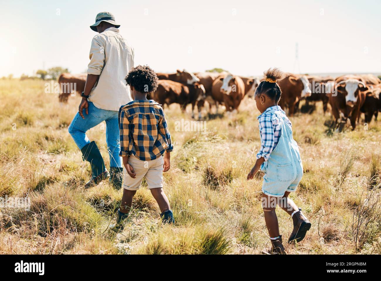 African child working field agriculture hi-res stock photography and ...