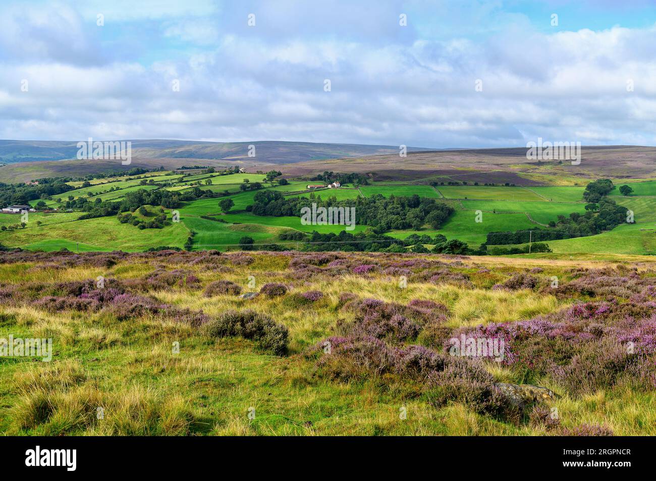 View of the North York Moors at Blakey Ridge across fields on a cloudy ...