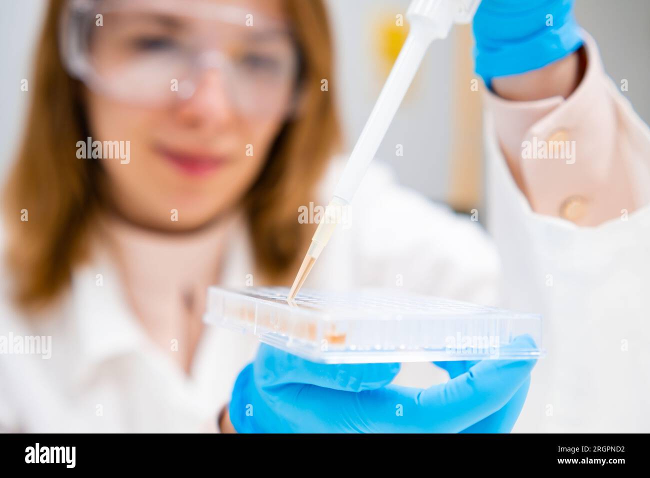 Female young scientist in goggles and rubber gloves uses pipette for filling 96 well plate for ...