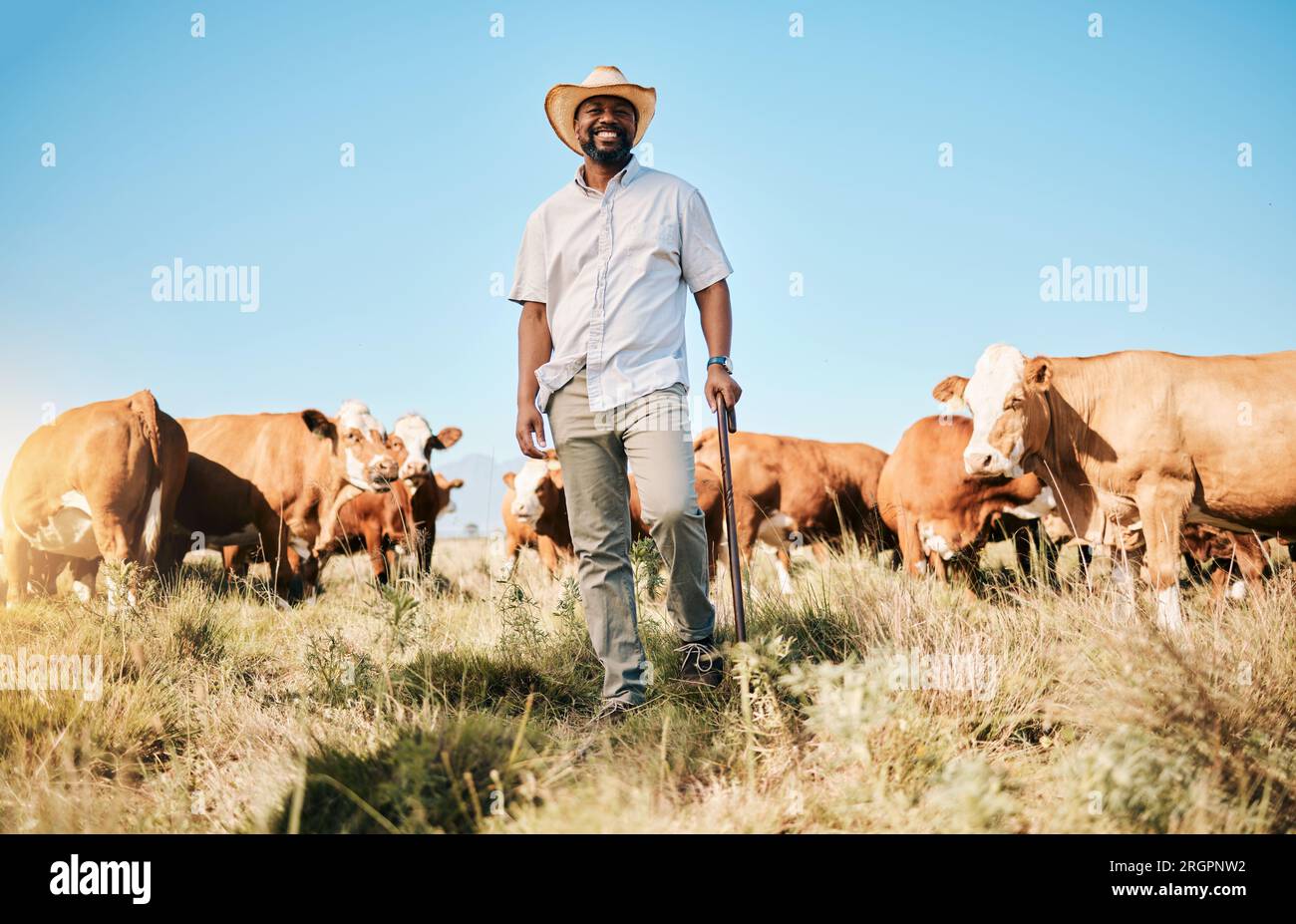 Happy black man, portrait and animals in farming, agriculture or ...