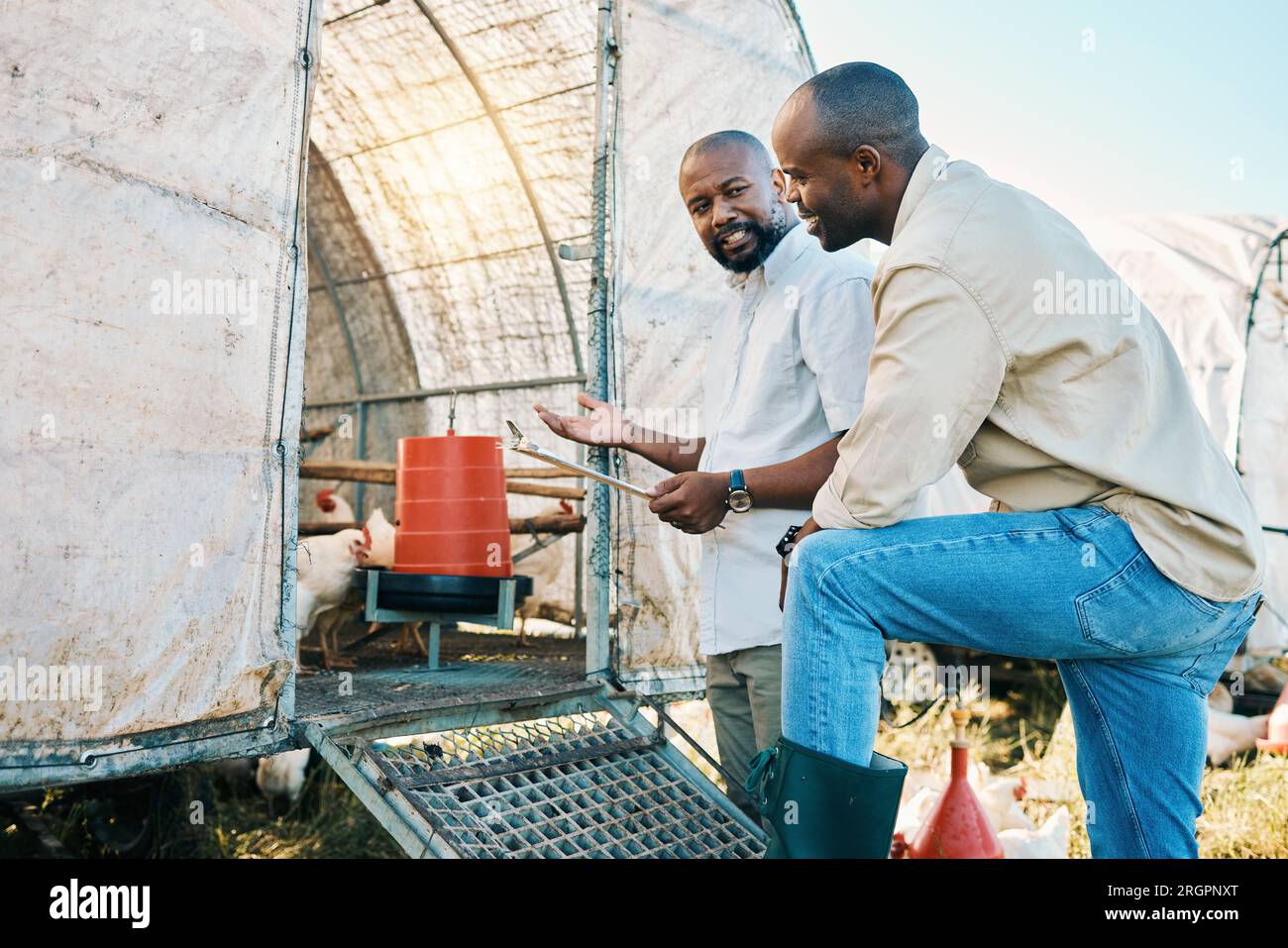 Chicken, farmer and agriculture team with checklist or planning for ...