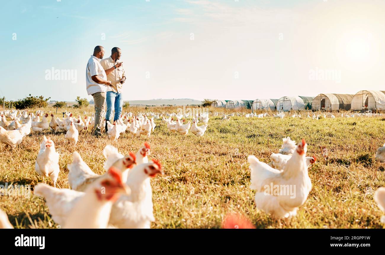 Black people, clipboard and farm with chicken pointing to barn in ...