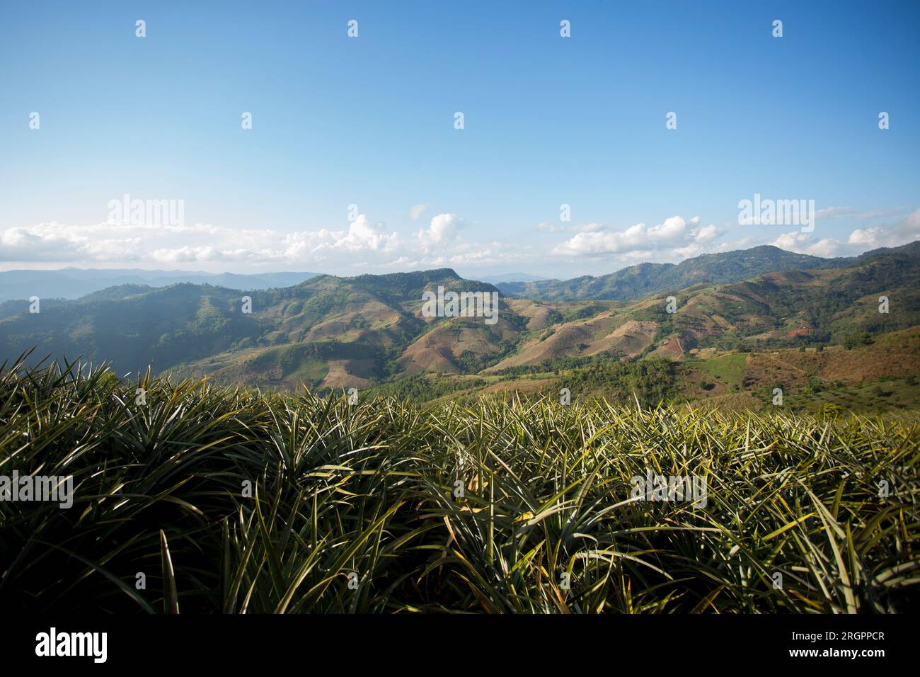 Mountains in the Mae Taeng area in the north of Chiang Mai province in ...