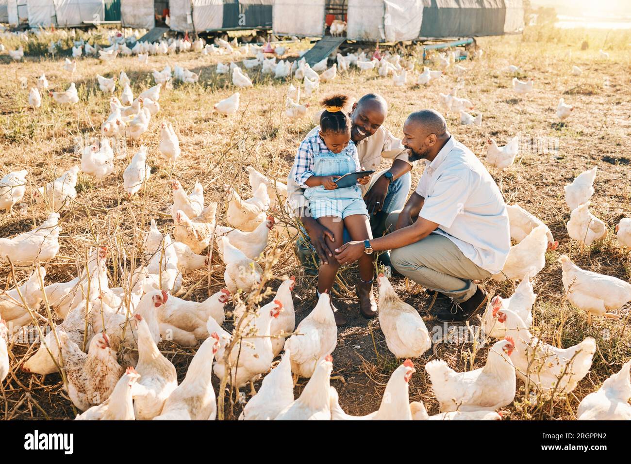 Family, chicken farm and hug in countryside with sustainability ...