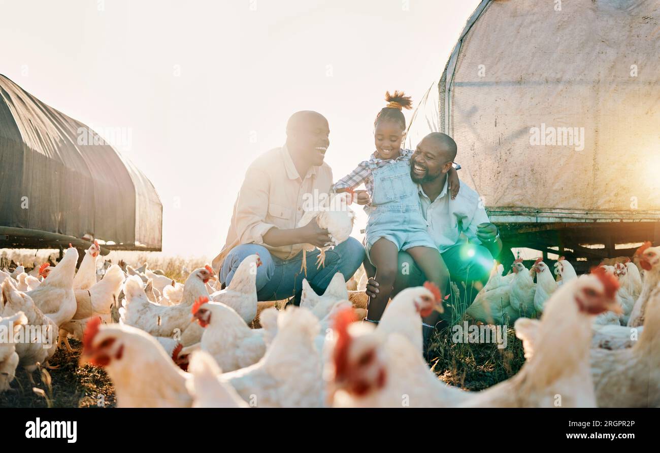 Agriculture, chicken and gay parents with girl in countryside for ...
