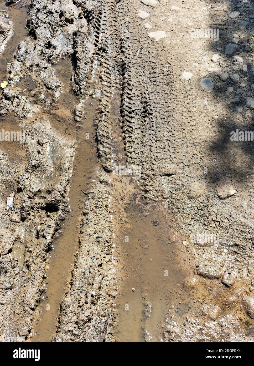 Muddy mountain bike tracks with distinct tire marks on earthy ground ...