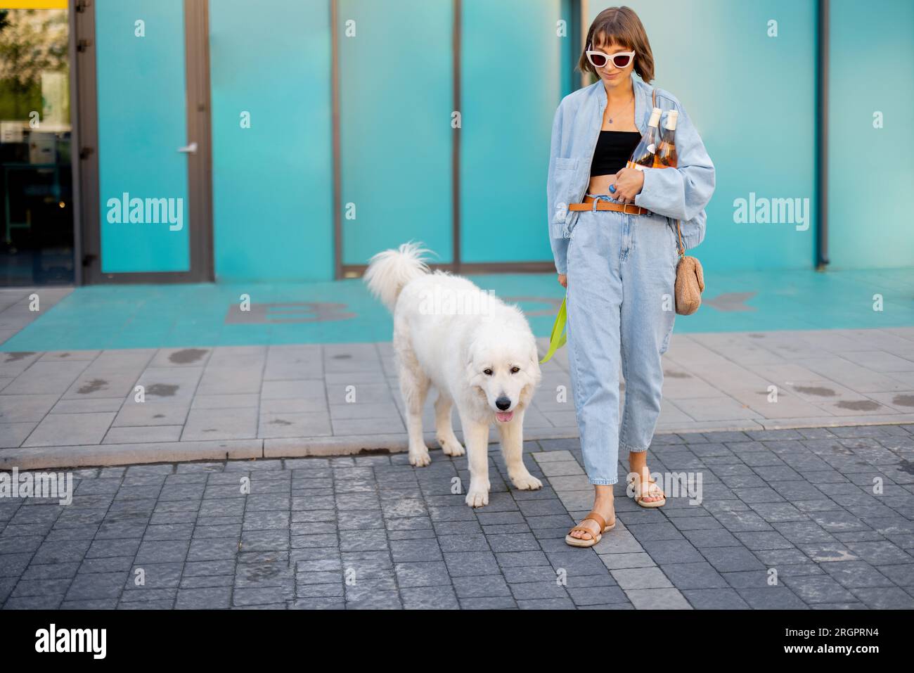 Woman going out dog hi-res stock photography and images - Alamy