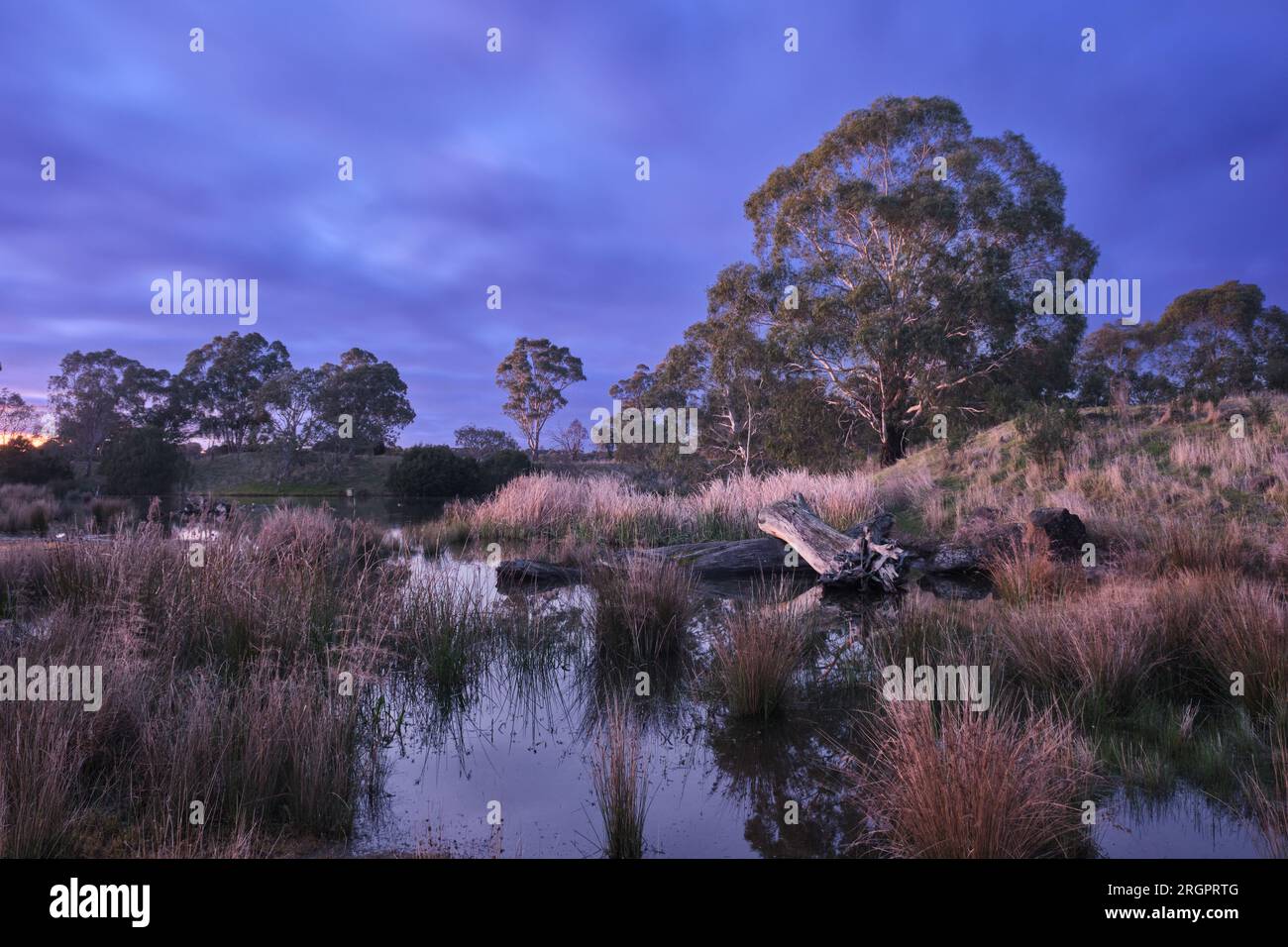 Wetlands hi-res stock photography and images - Alamy