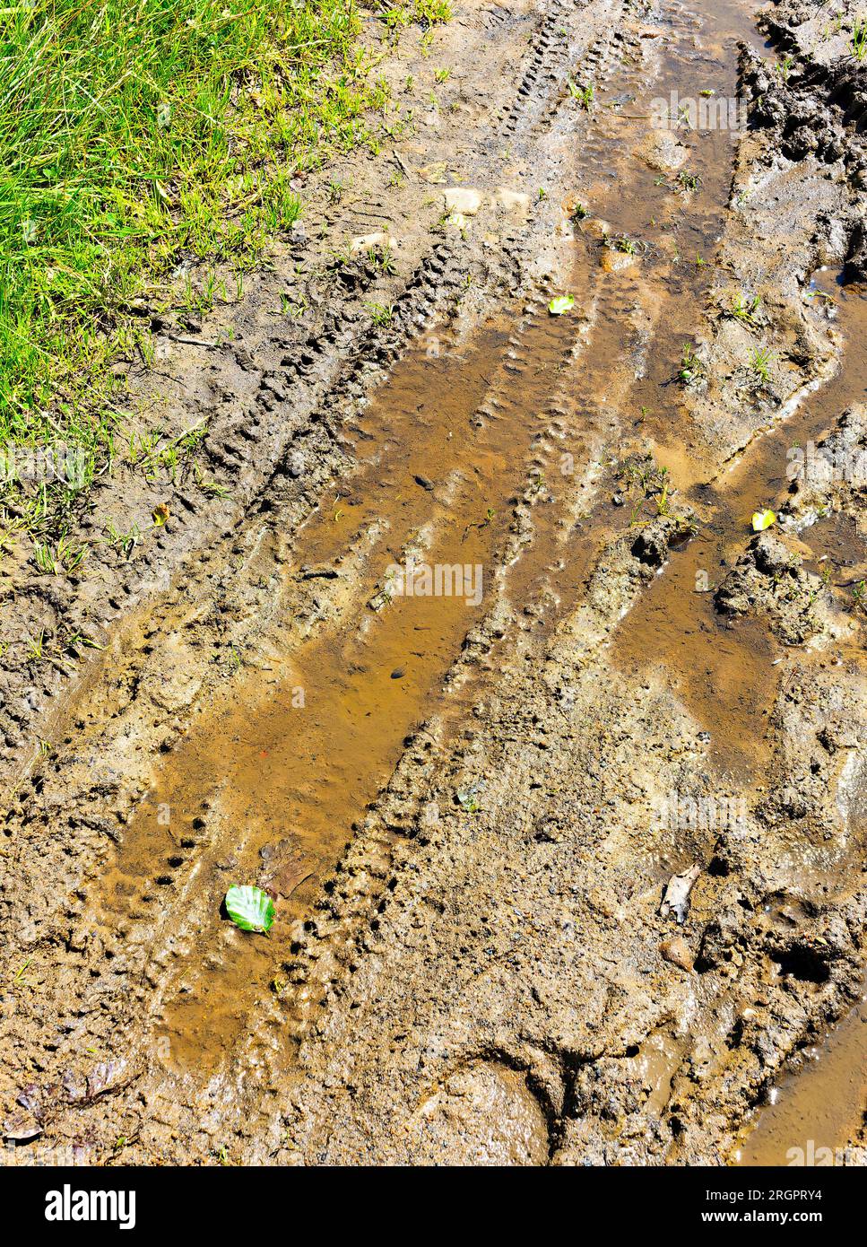 Muddy mountain bike tracks with distinct tire marks on earthy ground ...