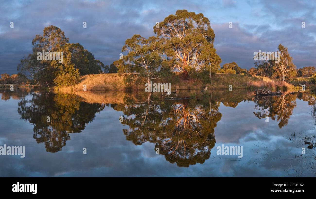 Serene wetlands hi-res stock photography and images - Alamy