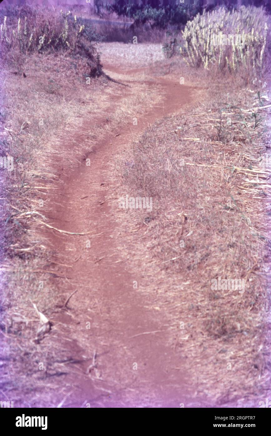 Small Pathway Road, Walkway, Maharashtra, India Stock Photo - Alamy