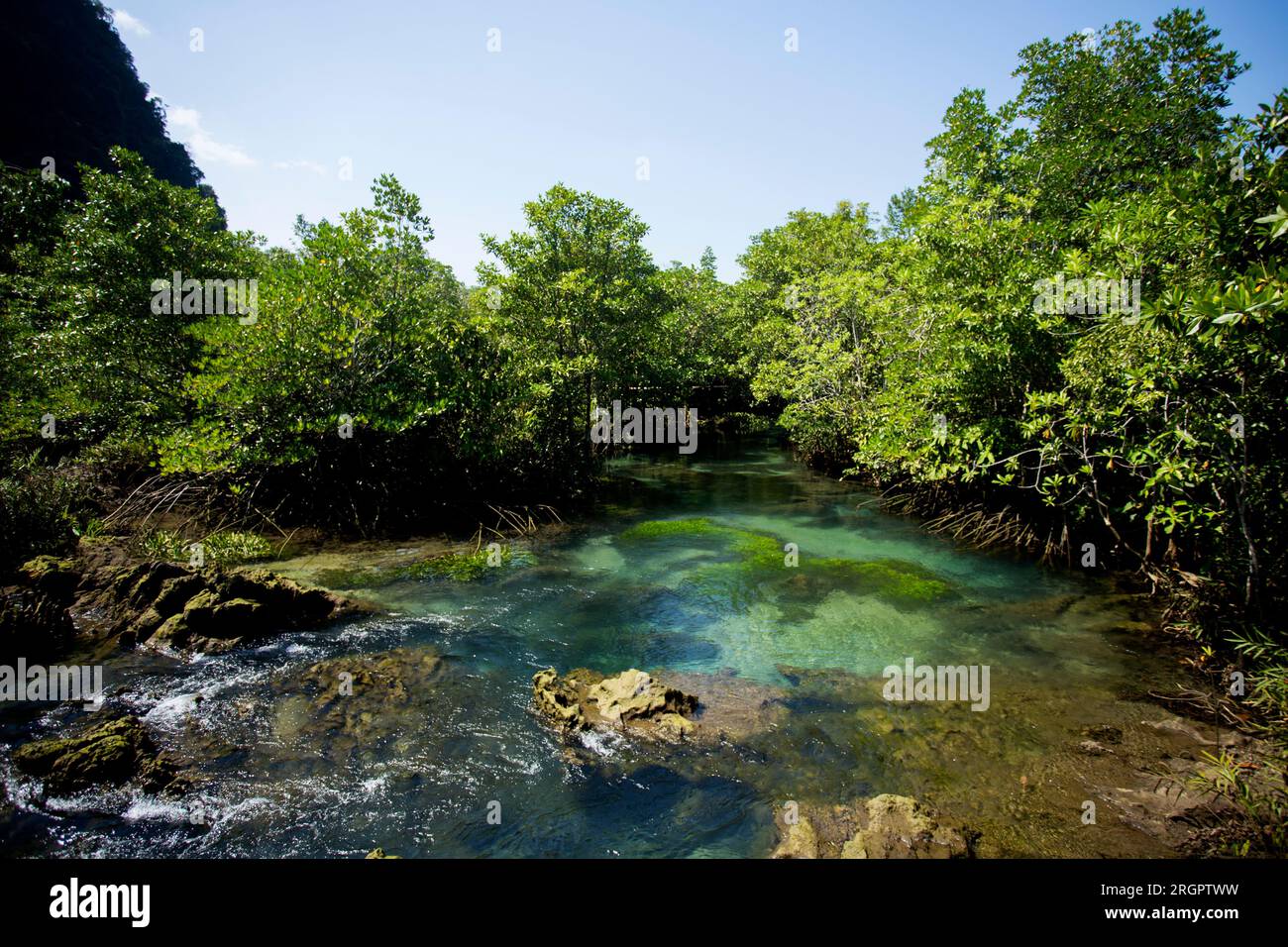 Tha Pom Mangrove Forest in Krabi Province in Thailand Stock Photo - Alamy