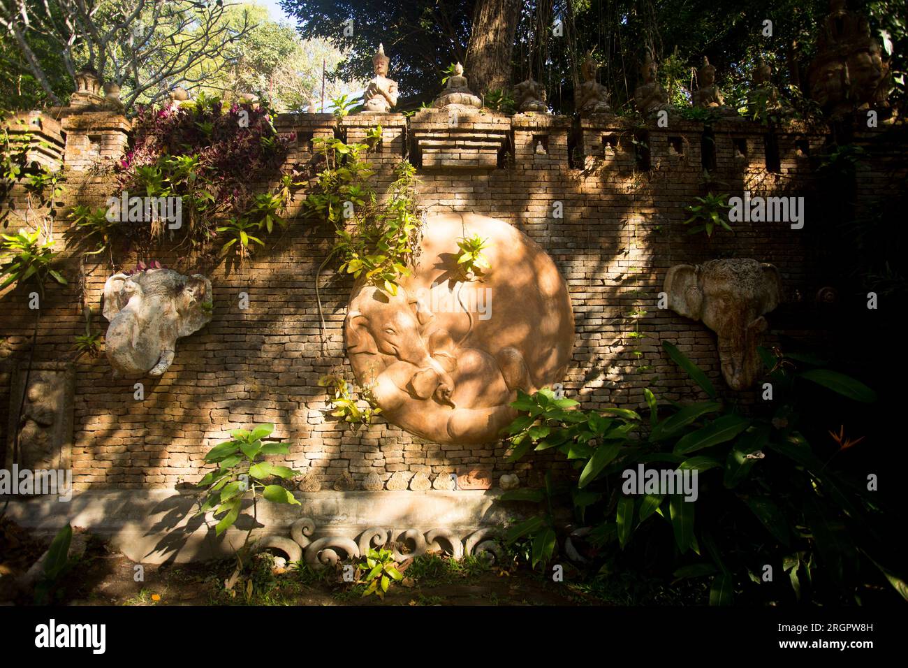 Wat Phra Lat in Chiang Mai. Temple of a Buddhist monastery with statues ...