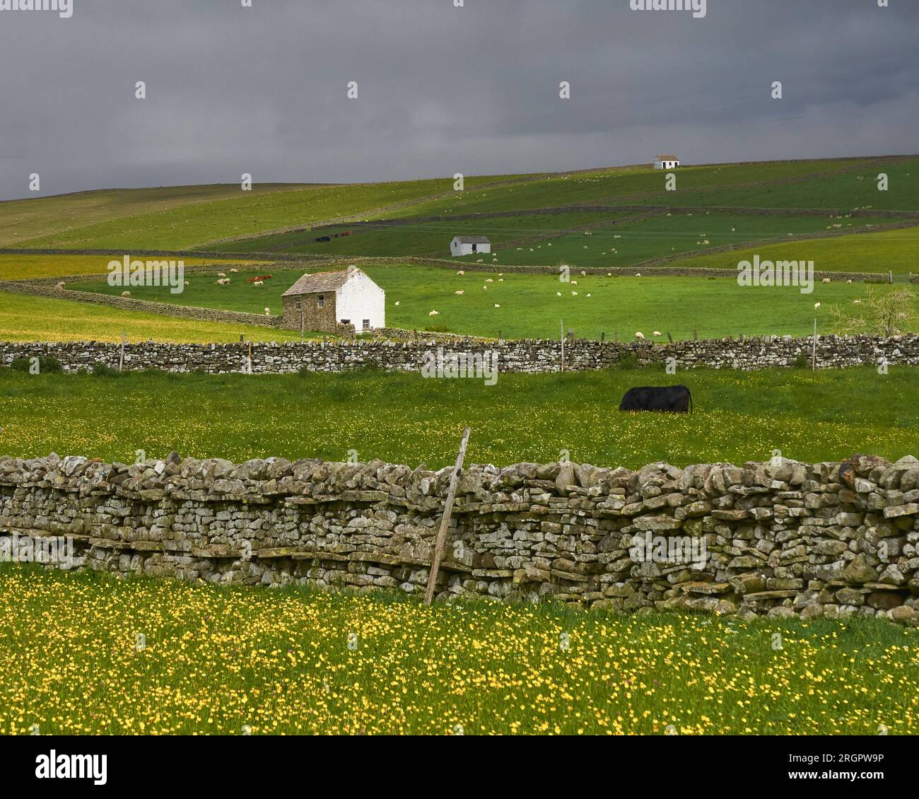 North pennines teesdale hi-res stock photography and images - Alamy