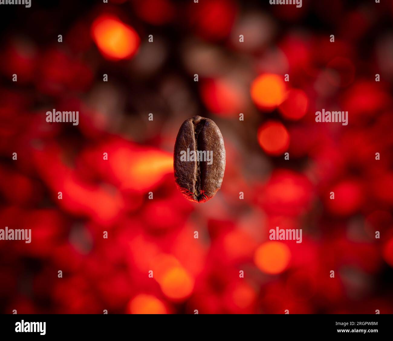 Fire Roasted Coffee Bean Product Shot (Macro). Closeup shot of a coffee ...