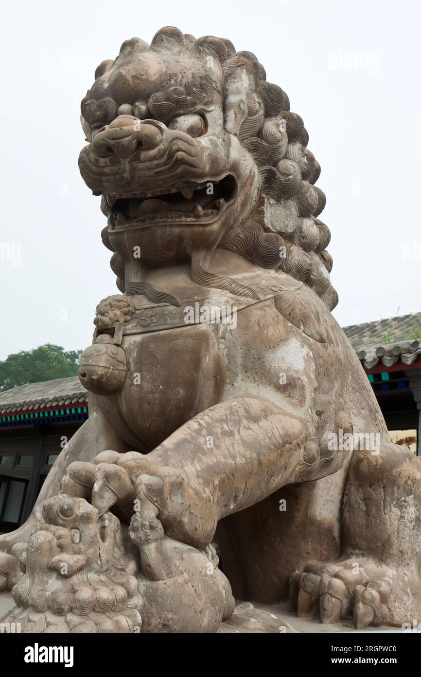 stone lion works in the Chinese traditional garden, north china Stock ...