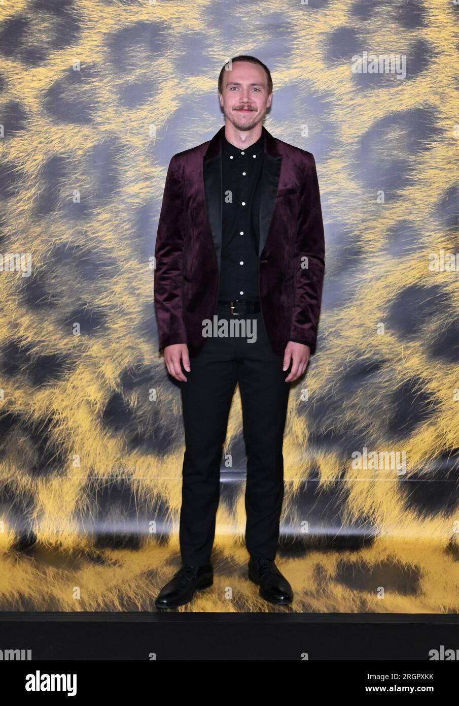 Tilk hi-res stock photography and images - Alamy