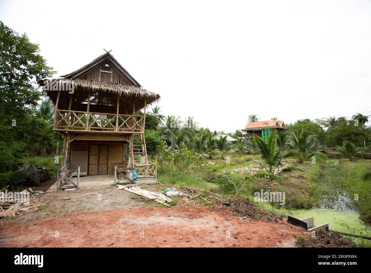Organic coconut plantations in the Samut Songkram area of Thailand ...