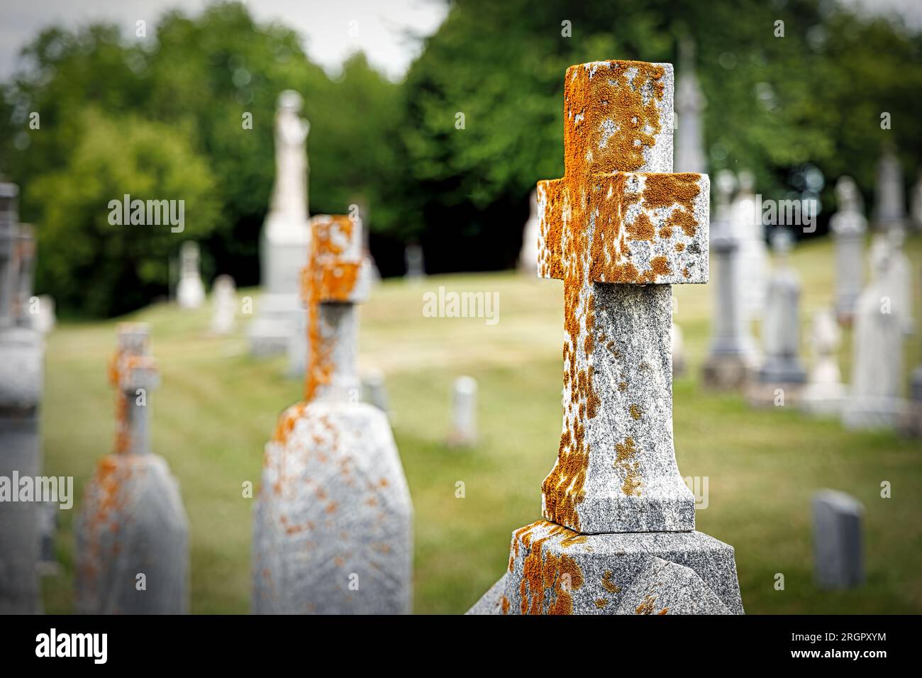Moss covers a cross on a gravestone at a cemetery in Manitowoc County ...