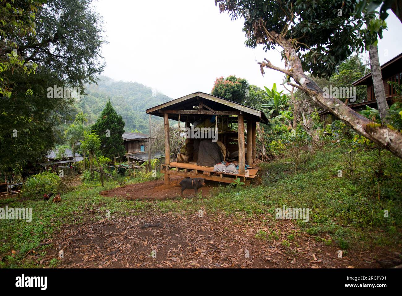 Indigenous High hill tribe village in the mountains of Chiang Rai ...