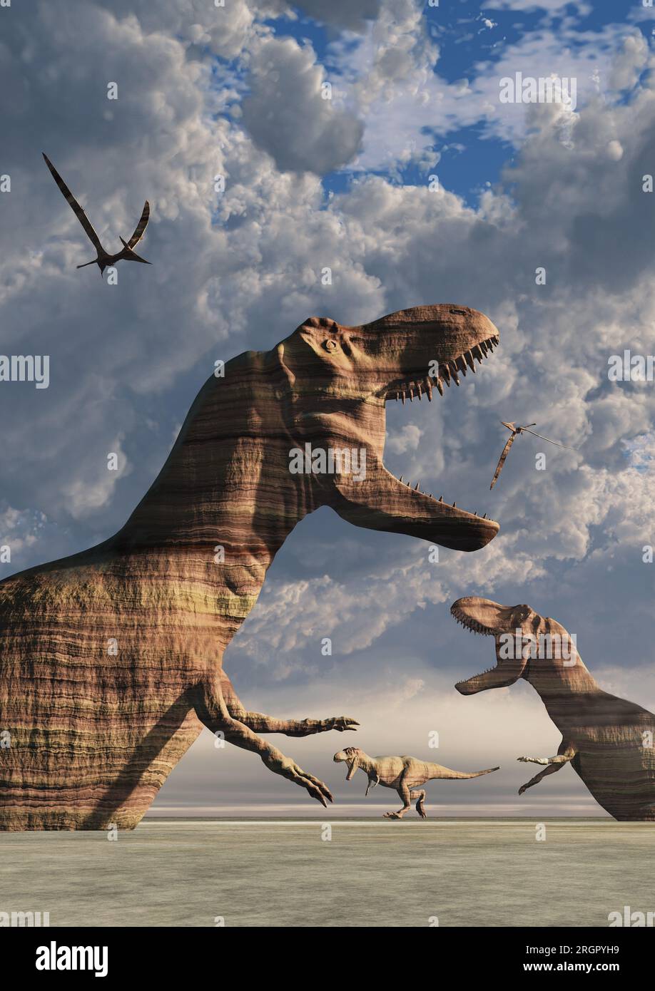T rex fossils hi-res stock photography and images - Alamy