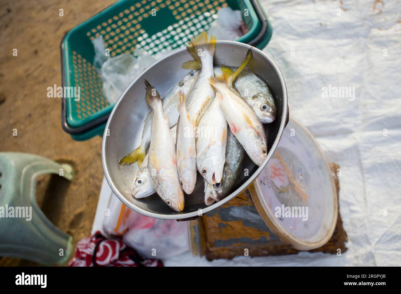 Fish stall at a beach market in Sichon provice in southern Thailand ...