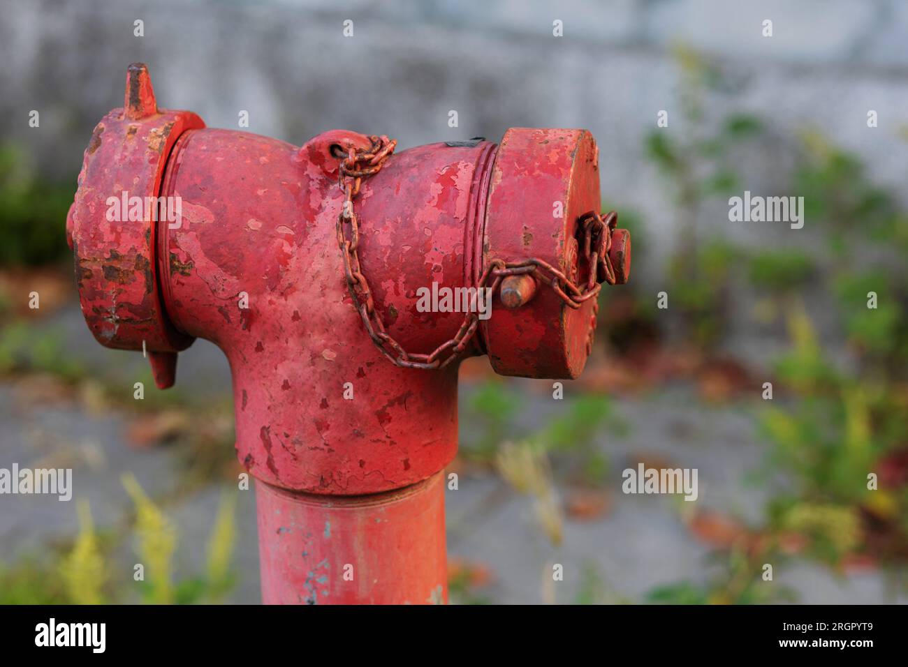 Fire Water hose connector ready to use in the outdoor Stock Photo - Alamy