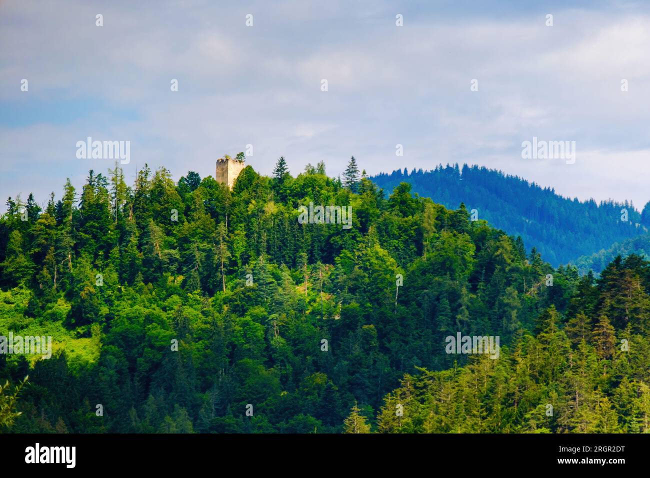 Old destroyed castle tower on a hill with forest Stock Photo - Alamy