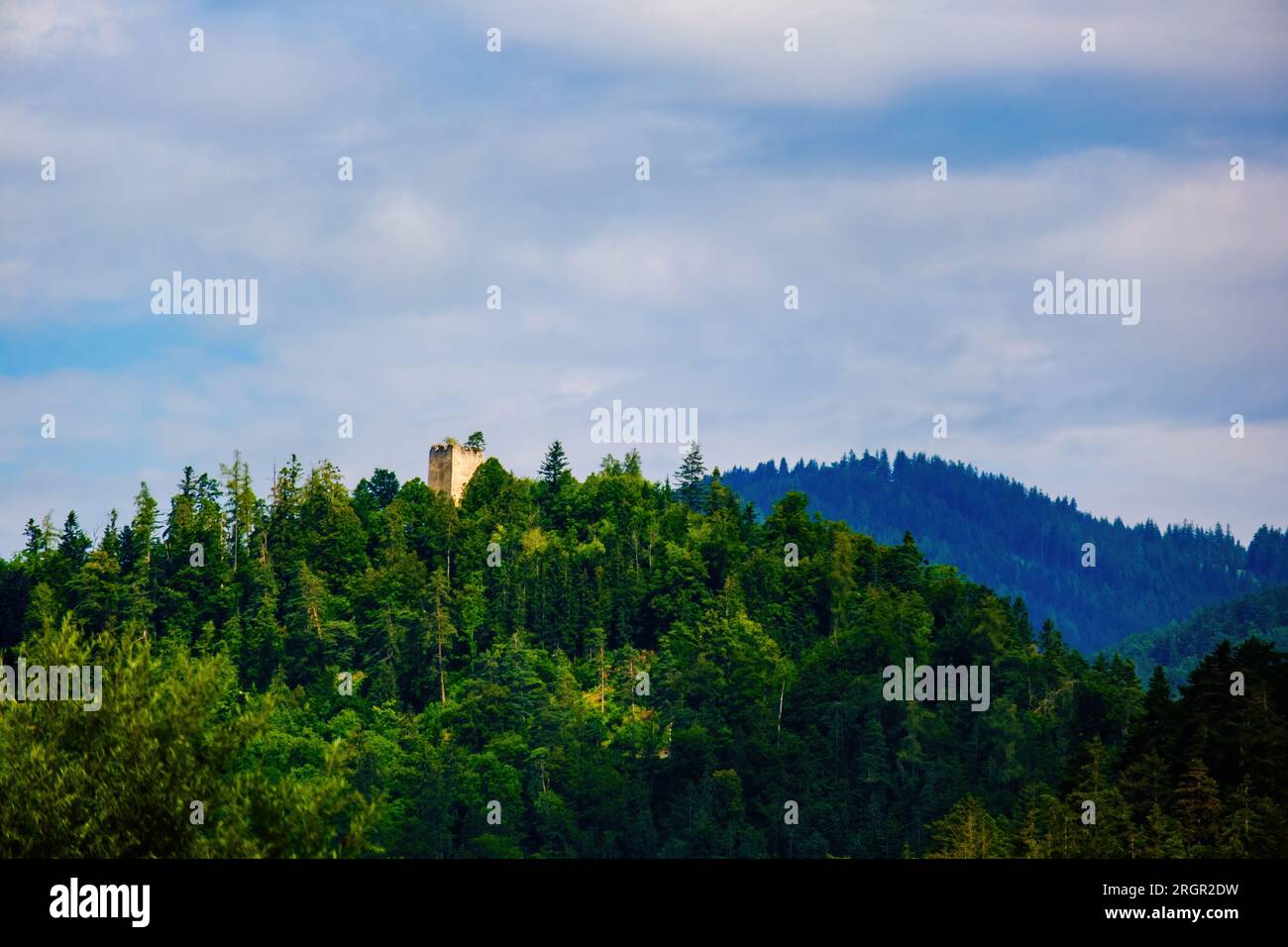 Old destroyed castle tower on a hill with forest Stock Photo - Alamy