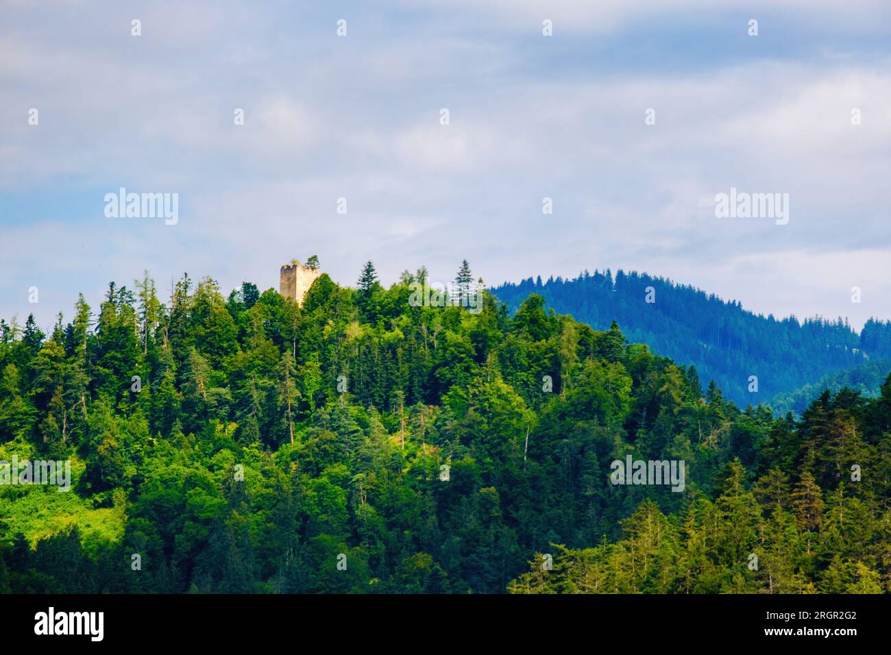 Old destroyed castle tower on a hill with forest Stock Photo - Alamy