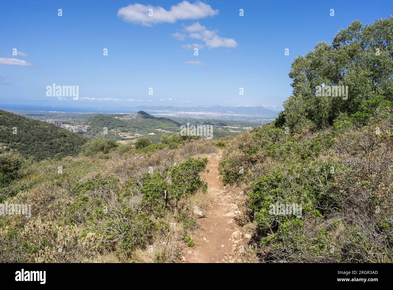 Mediterranean mountain biome hi-res stock photography and images - Alamy