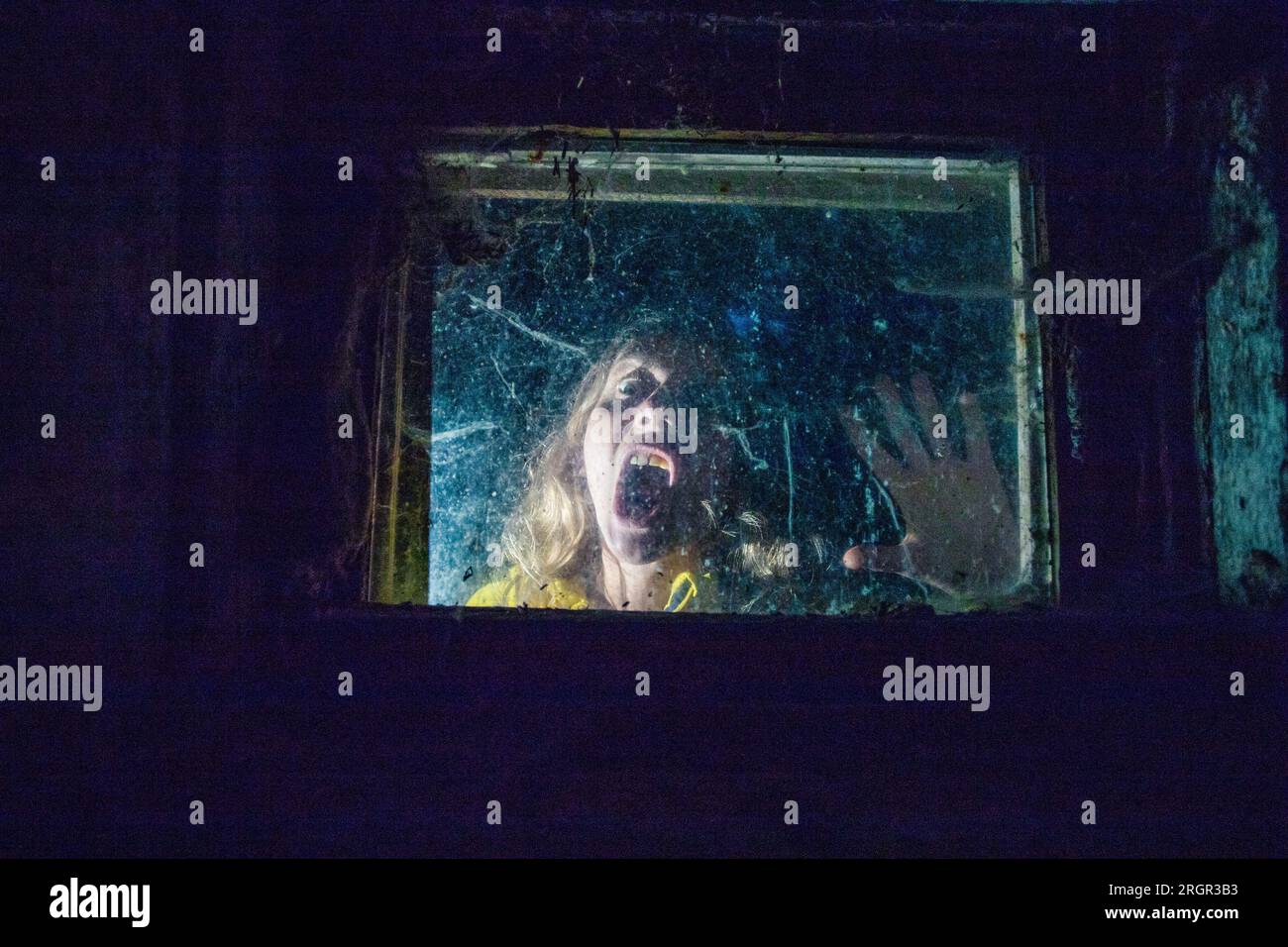 scary woman behind window at night Halloween horror background Stock ...