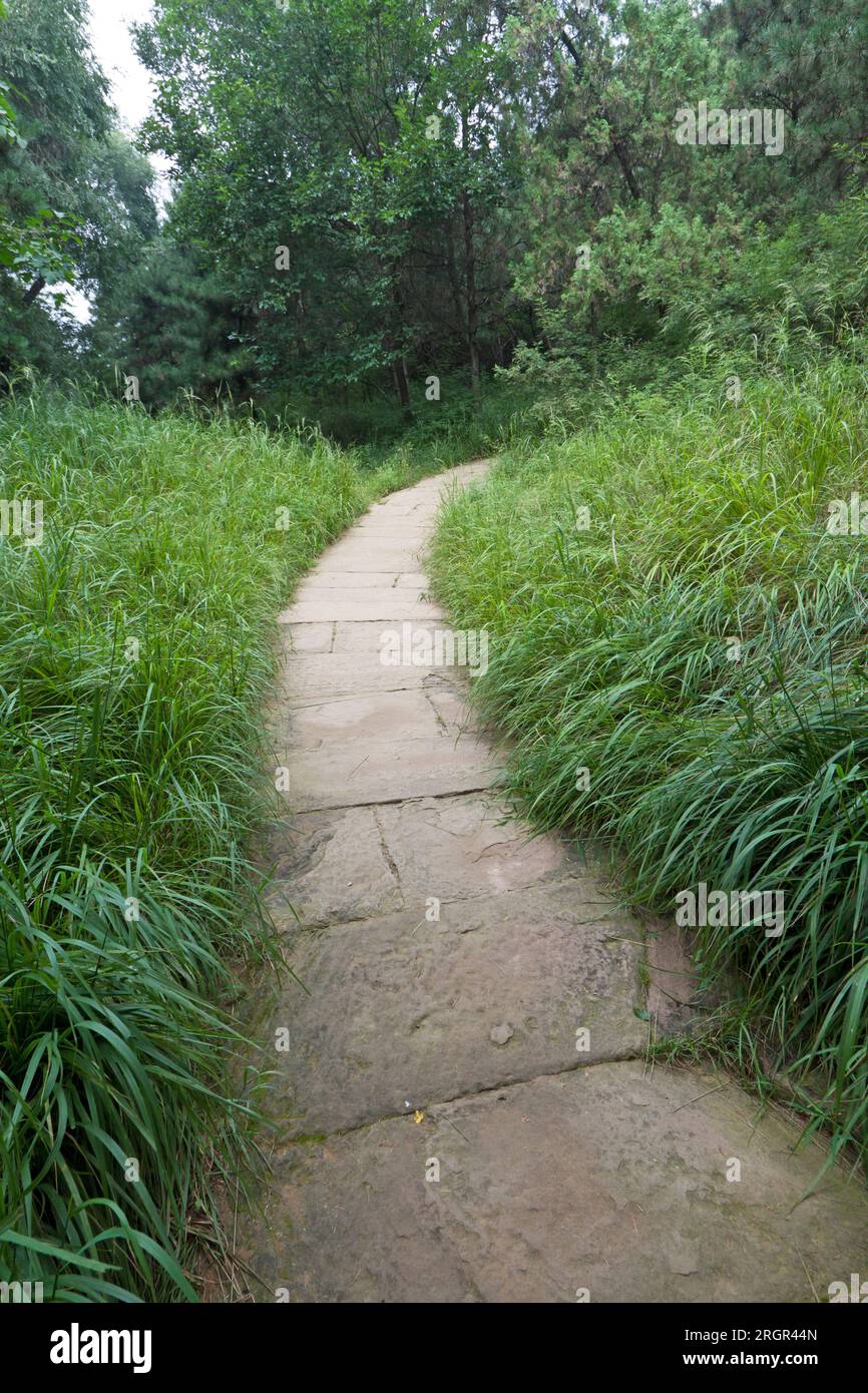 closeup of pictures, path and lawn in a park, China Stock Photo - Alamy