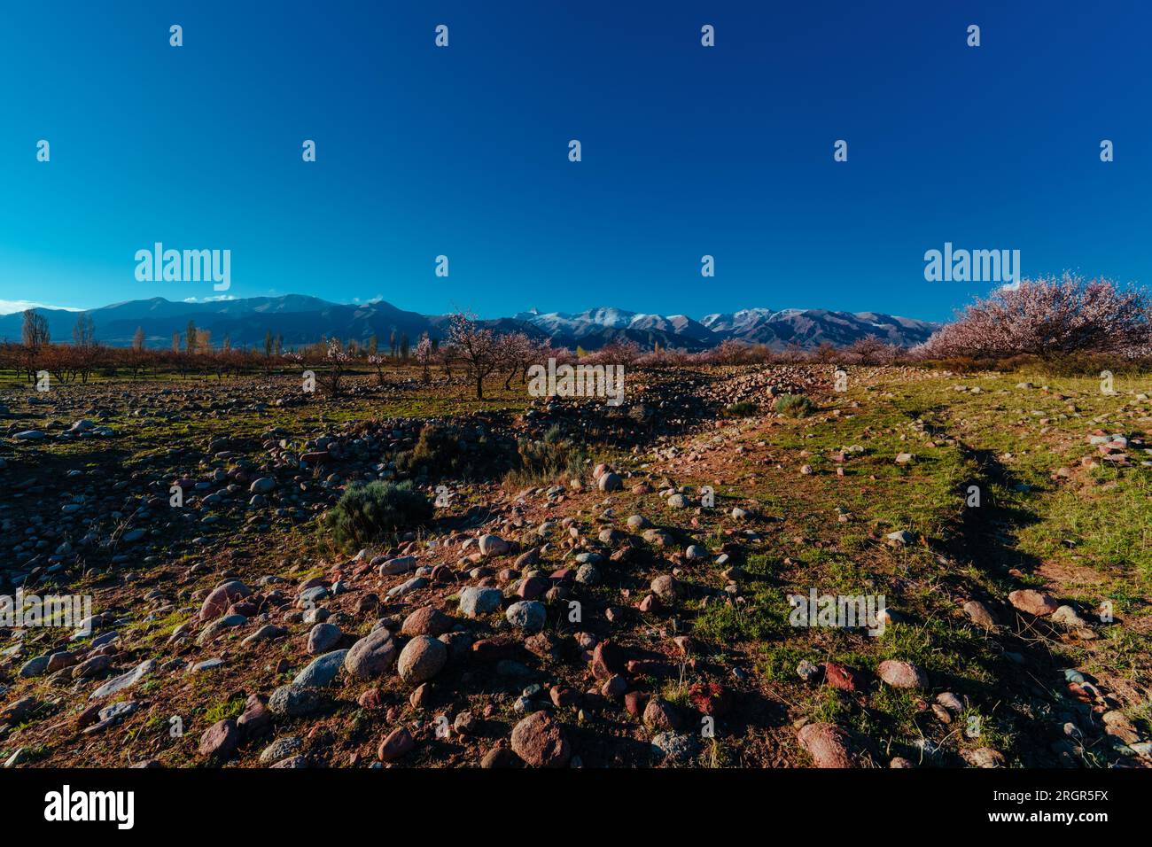 Vibrant spring landscape hi-res stock photography and images - Alamy