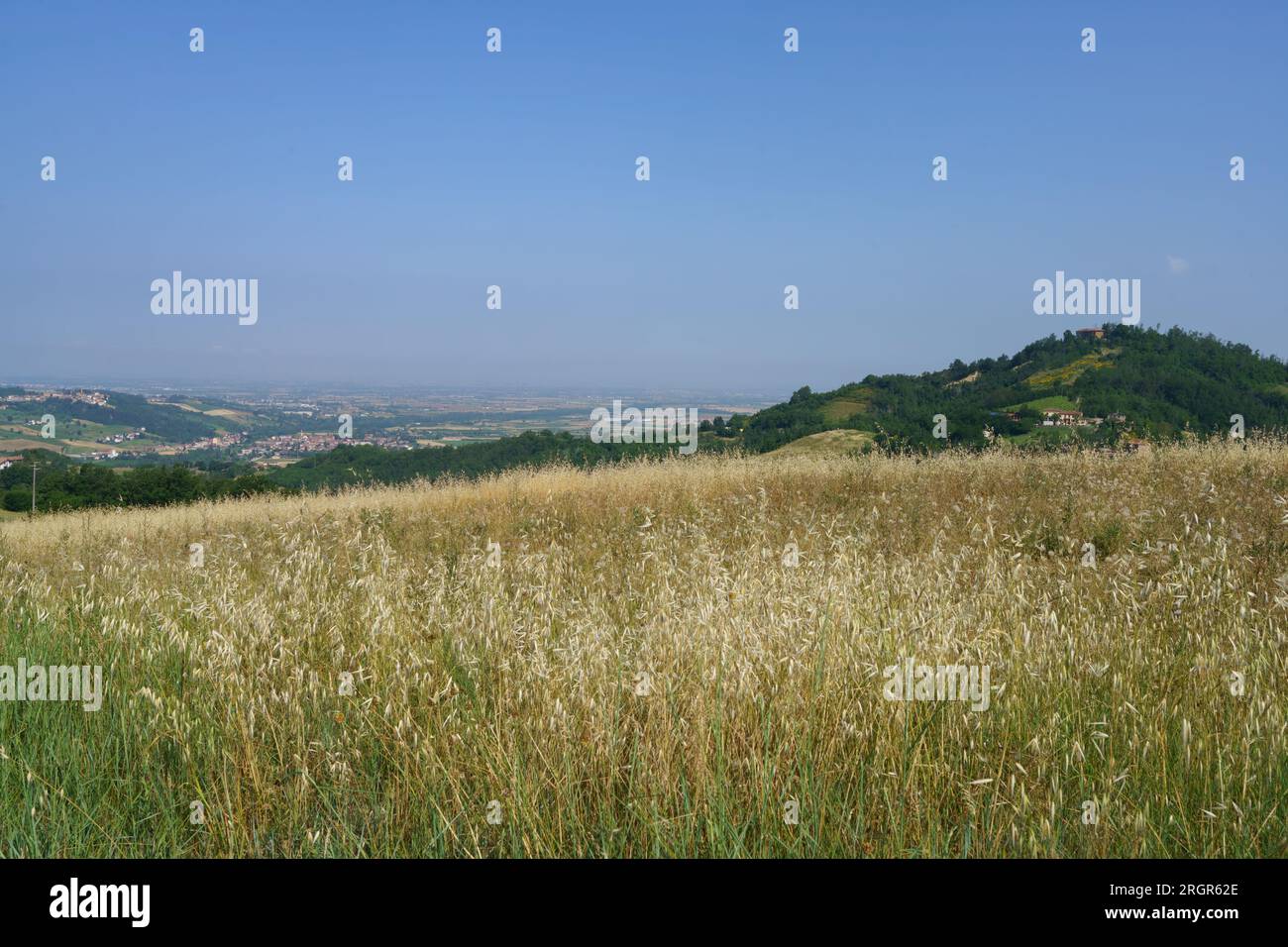 Rural landscape on the Tortona hills, Alessandria province, Piedmont ...