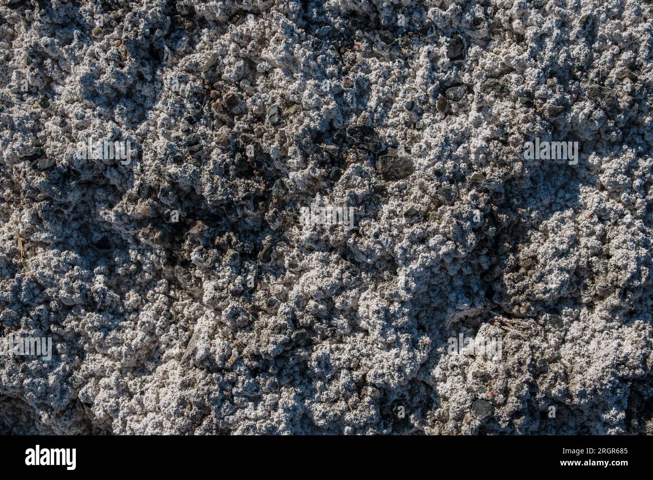 Close up dried macro hi-res stock photography and images - Alamy